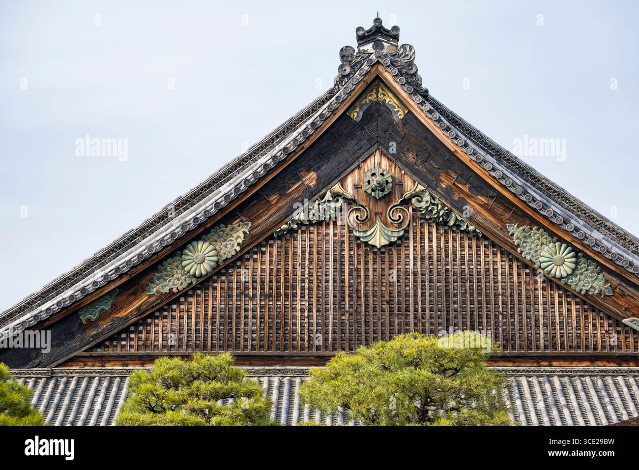 Japanese black pine in front of Ninomaru Palace built almost entirely ...