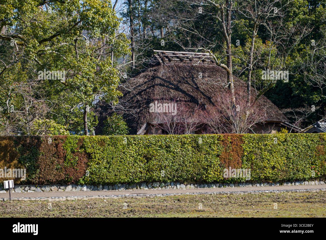 Sagaogurayama hinomyojincho hi-res stock photography and images - Alamy