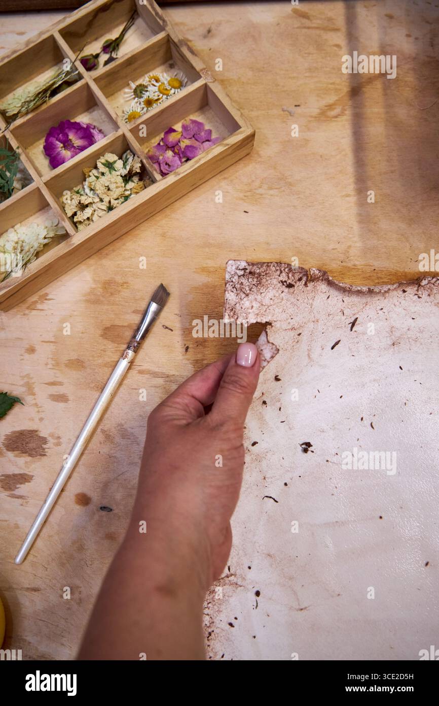 A creative herbarium project showing the full process of preserving and ...