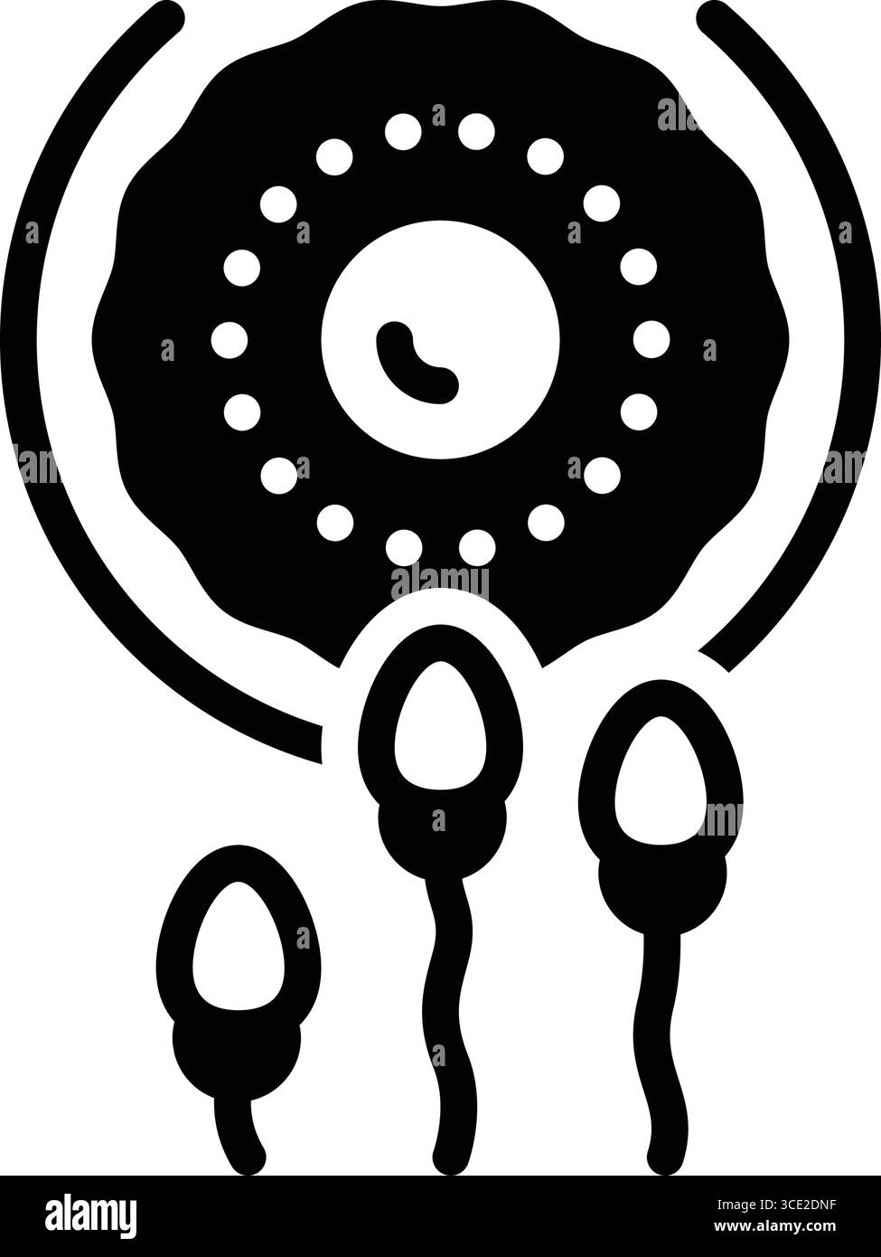 Gamete fusion Stock Vector Images - Alamy