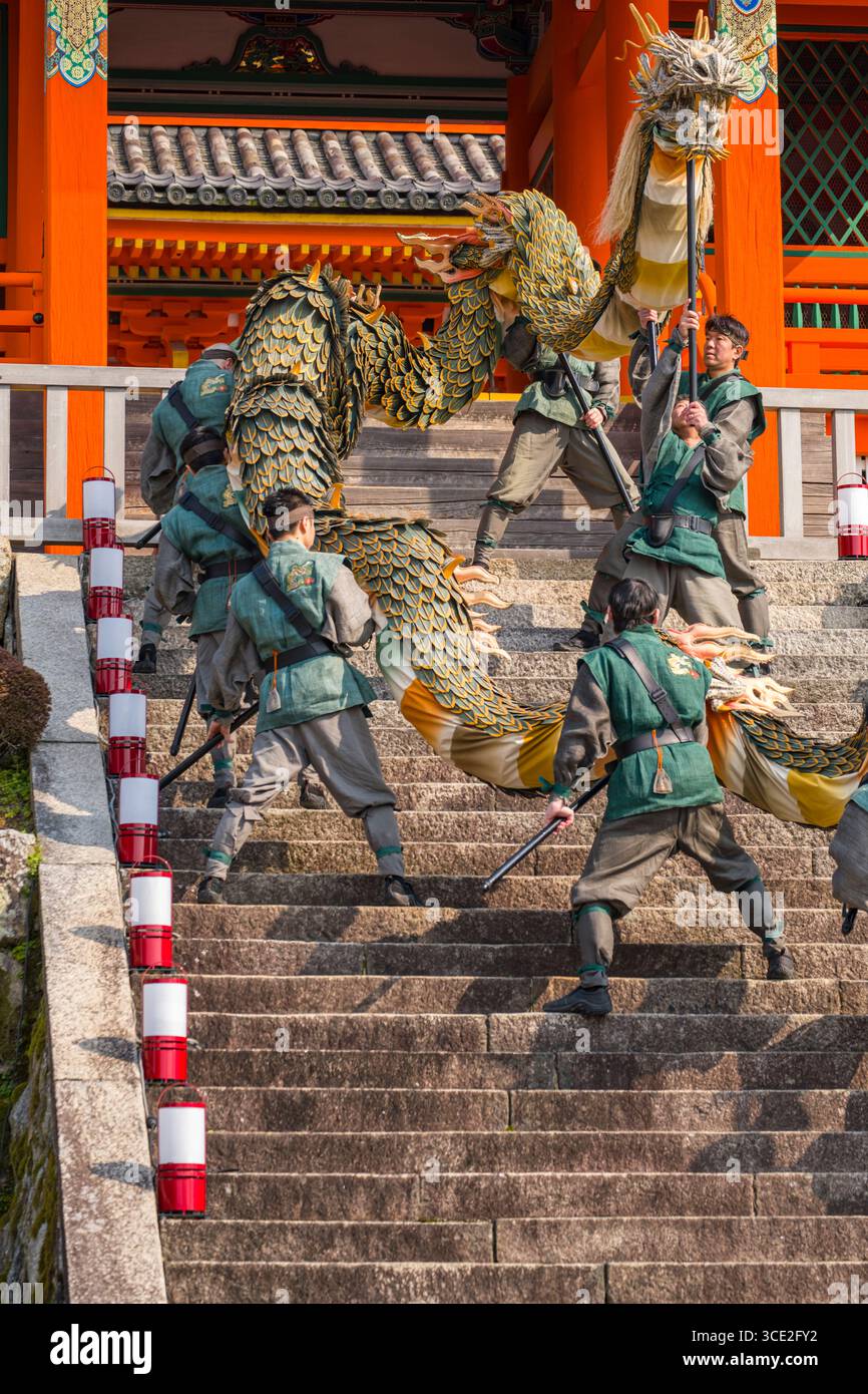 Male performers carrying the Seiryu blue dragon on the stone steps of ...