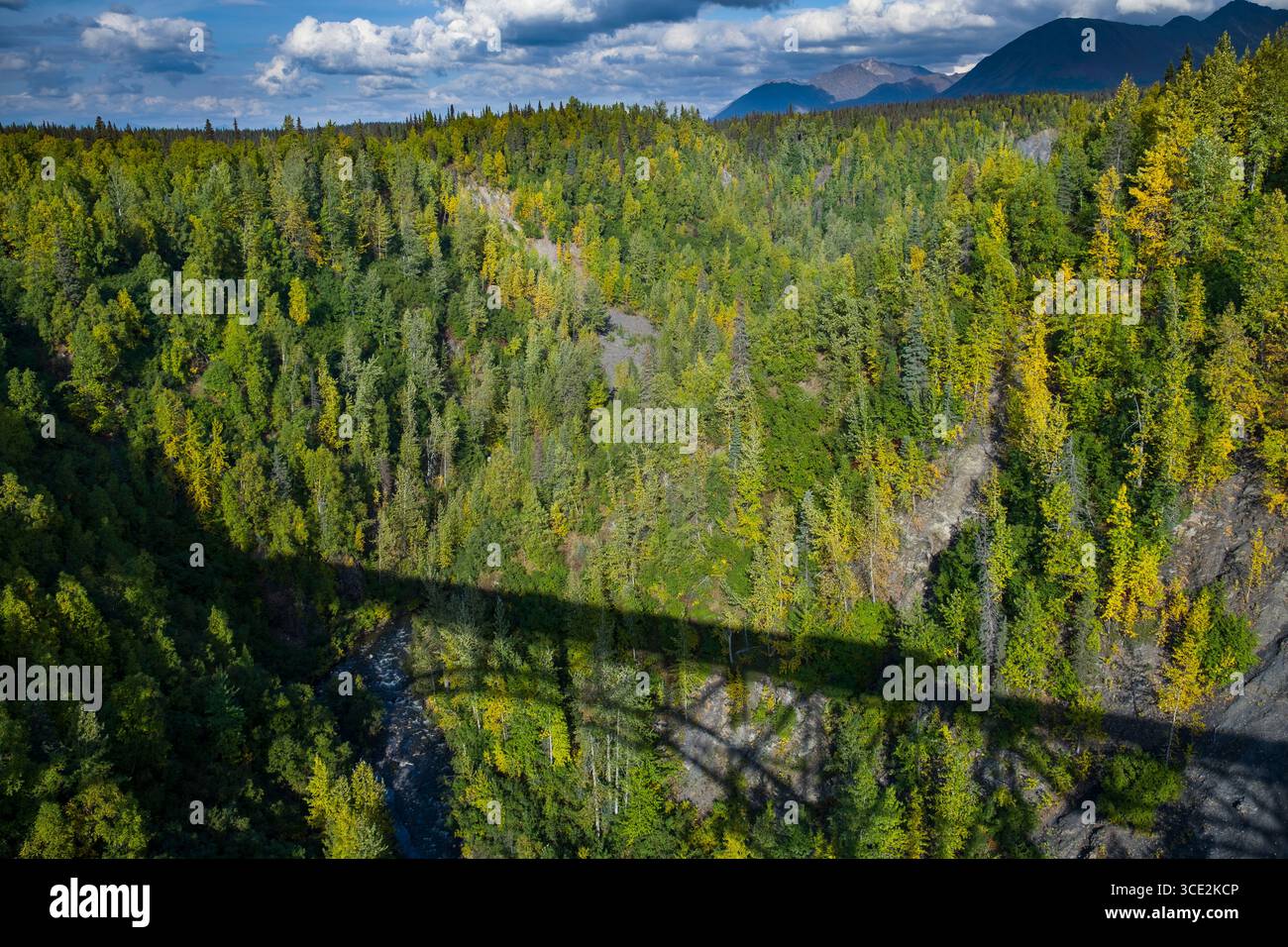 Shadow of the Alaska Railroad Hurricane Turn passenger train and rail ...