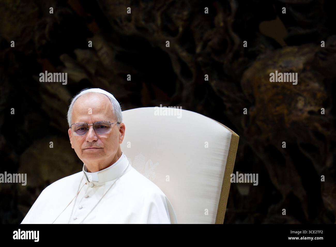 Pope Leo XIV leads the general audience in the Paul VI Hall at the ...