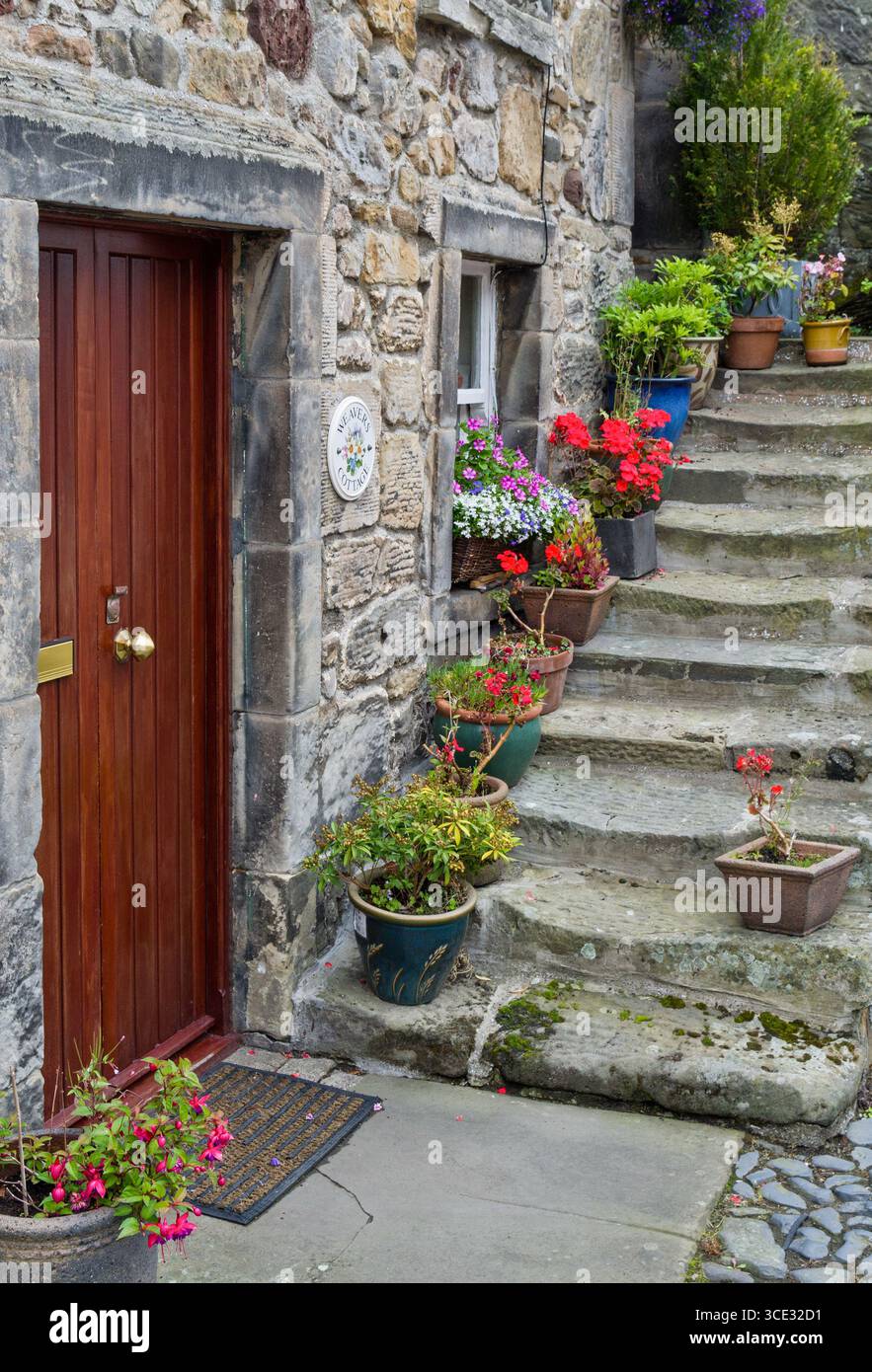 Stone cottage in Falkland, Scotland, with stone steps rising past plant ...