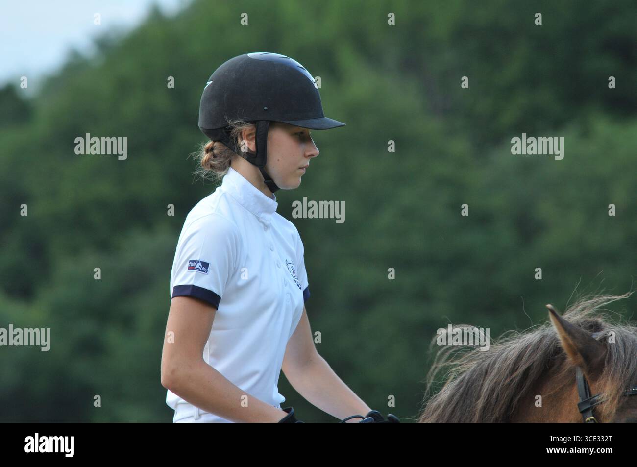 Traditional Hucul horse competition in southeastern Poland, riders ...