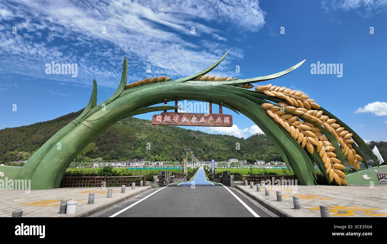 Aerial photo shows the rice fields in Zhuxi County, Shiyan City ...