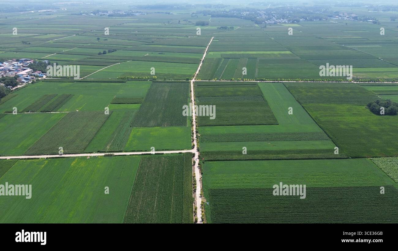 Aerial photo shows the agricultural landscape in Xuchang City, central ...