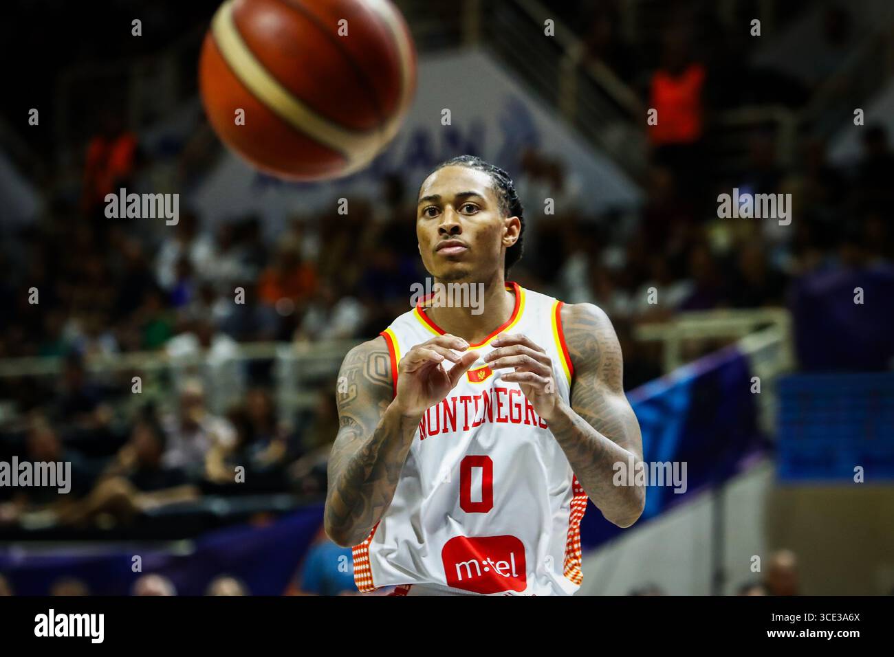 Kyle allman montenegro hi-res stock photography and images - Alamy