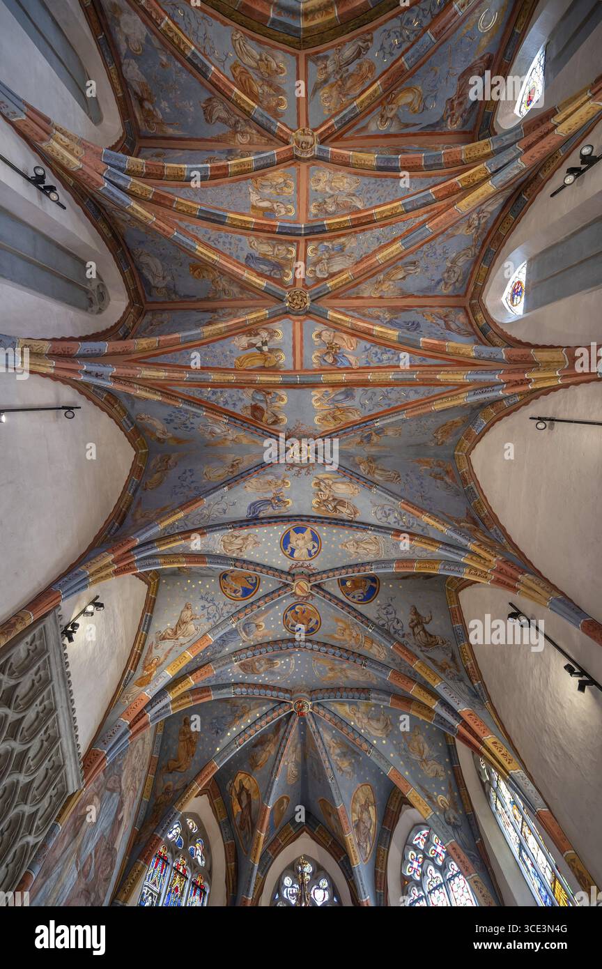 Gothic vault with frescoes, St Mary's Church, built around 1280 ...