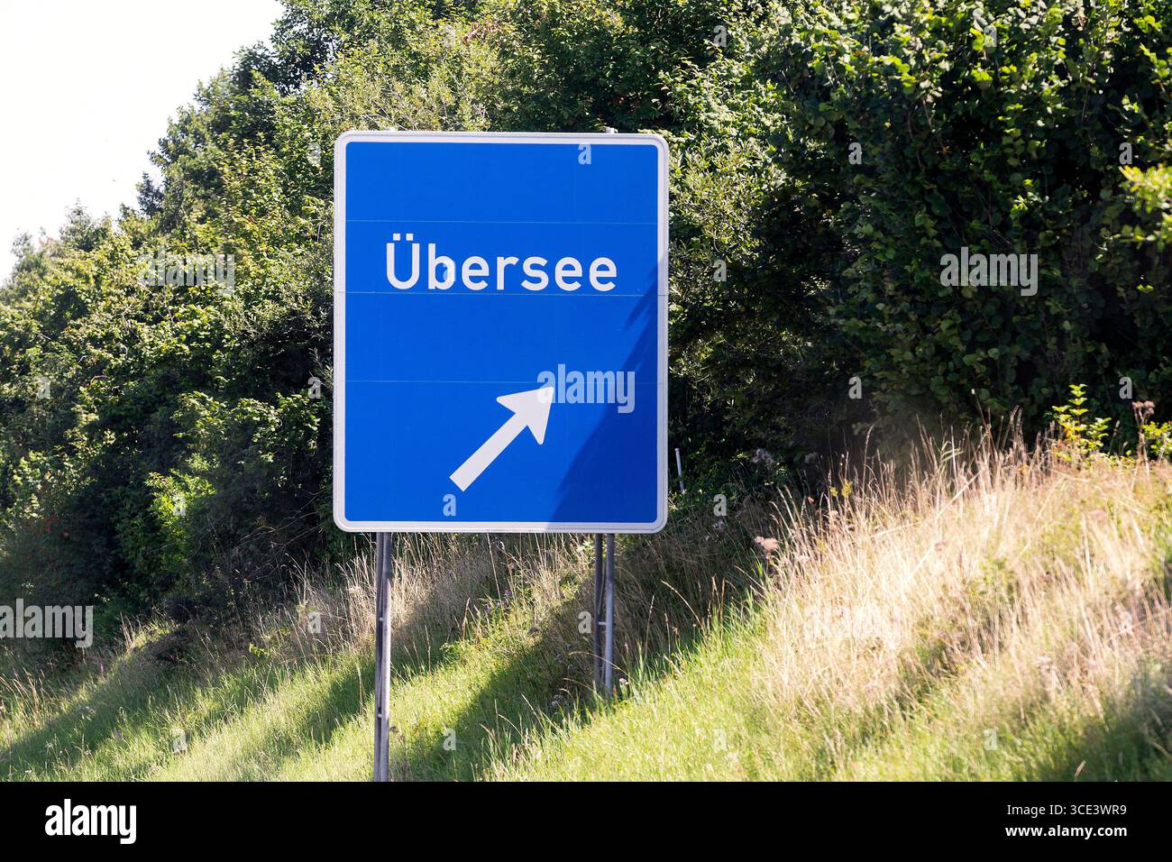Verkehr, Bundesautobahn A8, Abfahrt Übersee, Deutschland // Traffic ...