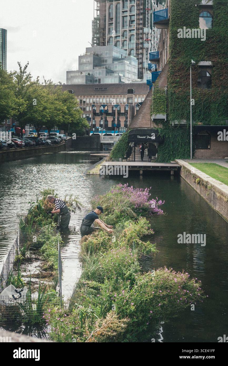 Rotterdam and Delft Stock Photo - Alamy