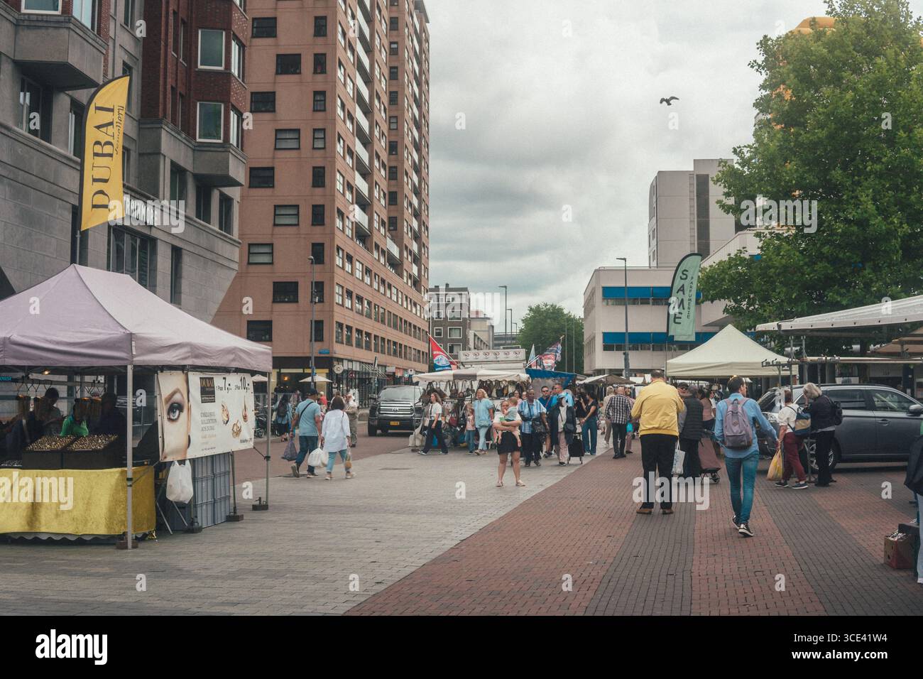 Rotterdam and Delft Stock Photo - Alamy