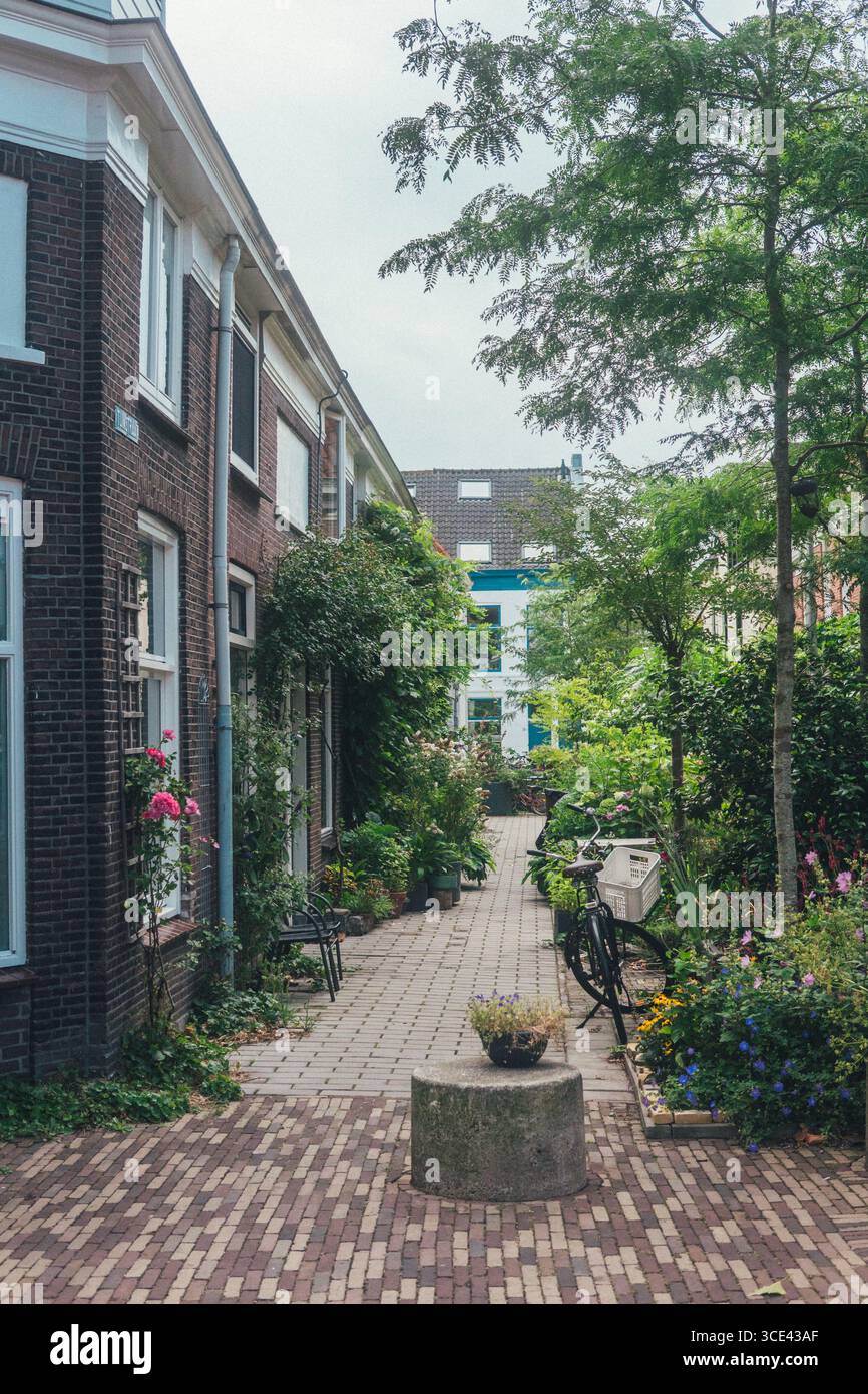 Rotterdam and Delft Stock Photo - Alamy