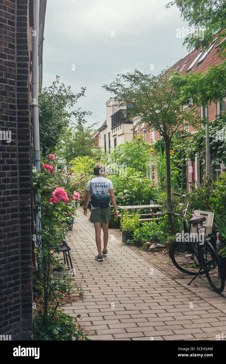 Car streets rotterdam hi-res stock photography and images - Alamy