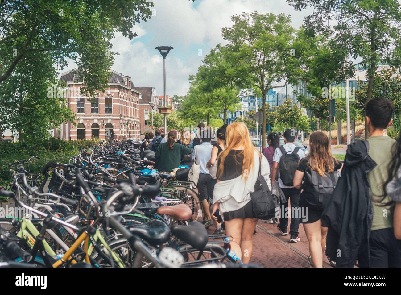 Rotterdam and Delft Stock Photo - Alamy