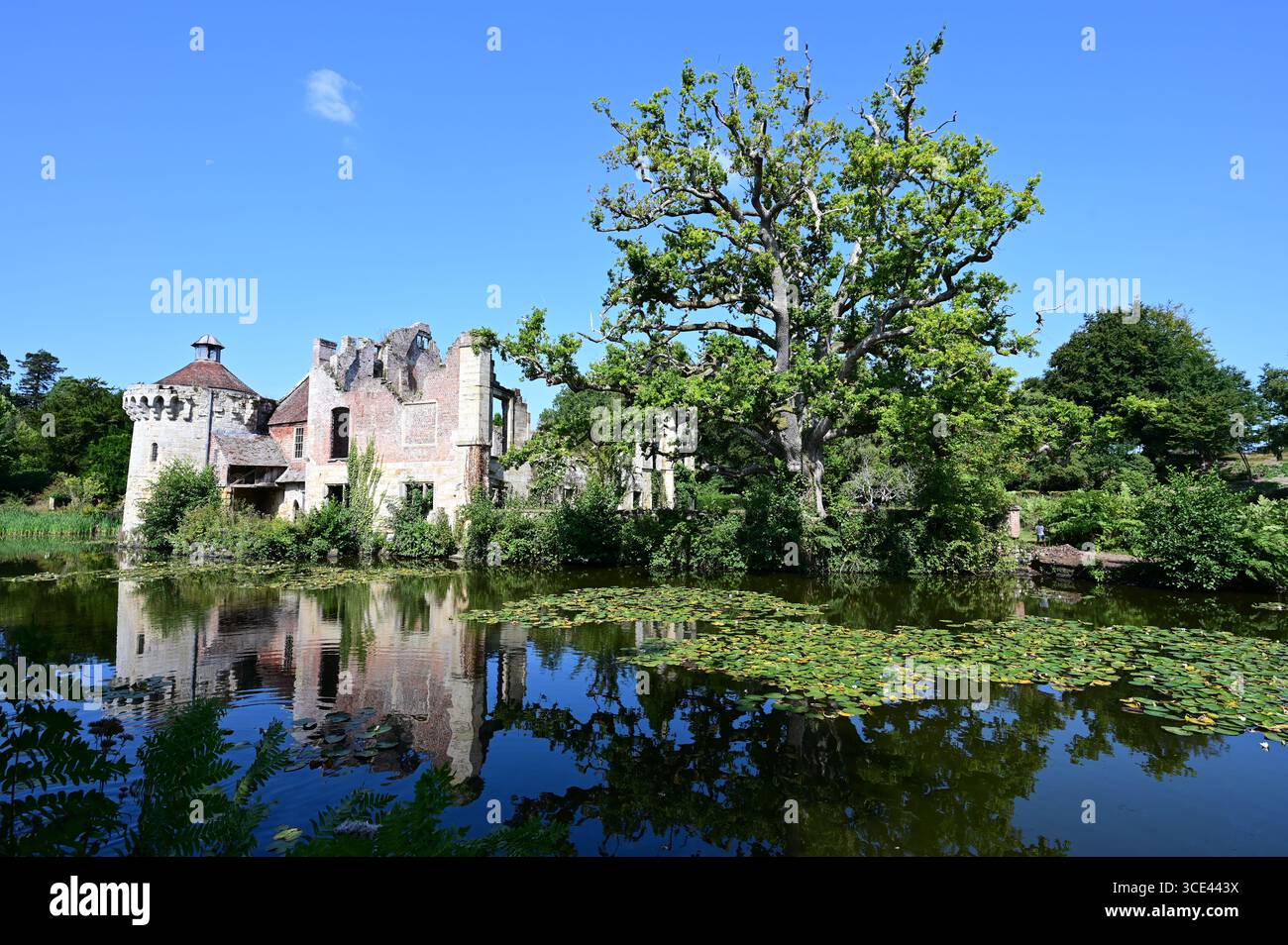 Ruins of a Medieval Moated Manor house by a lake in summertime Stock ...