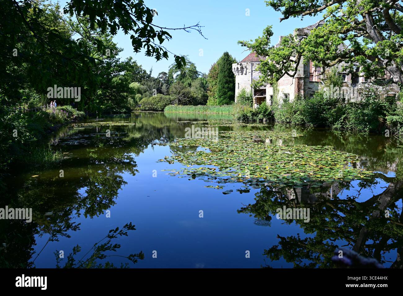 Ruins of a Medieval Moated Manor house by a lake in summertime Stock ...