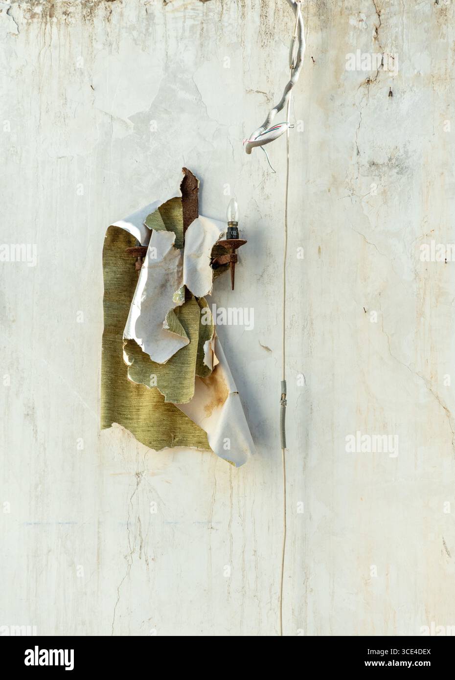Visible remnants of old wallpaper hang in tatters, showcasing various ...