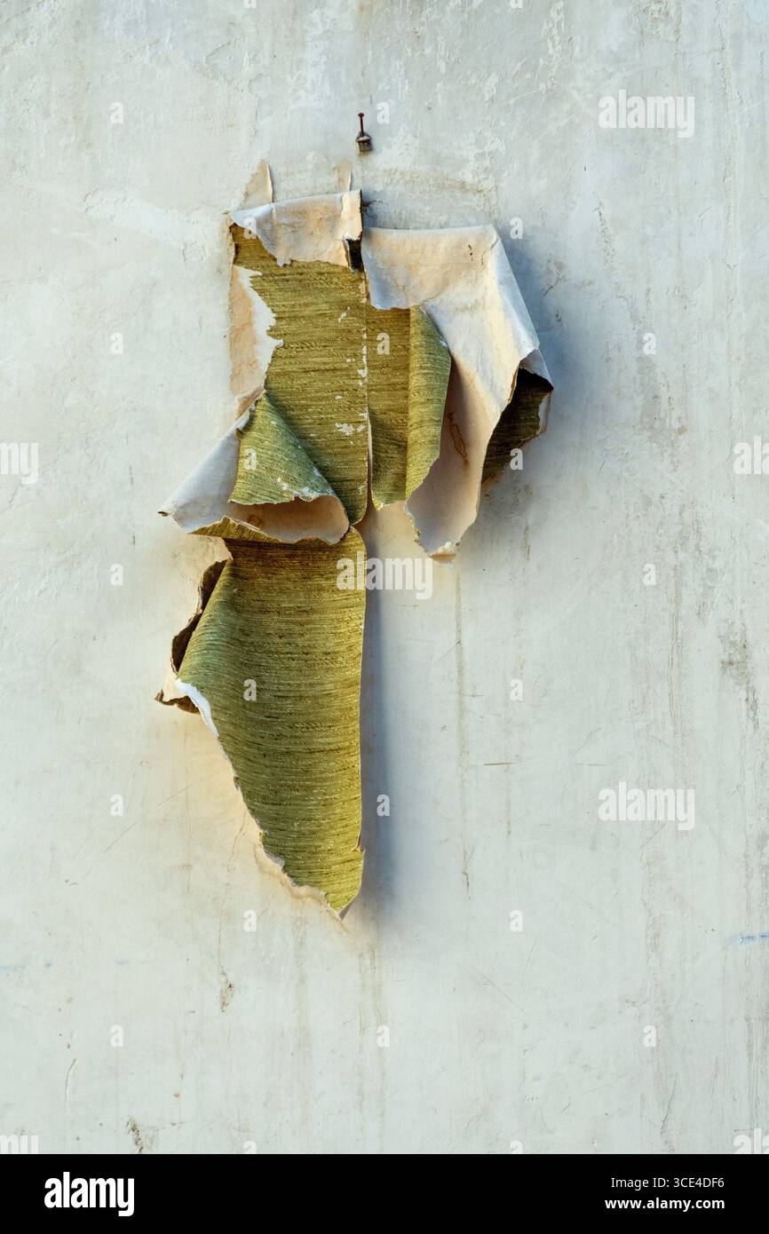 Visible remnants of old wallpaper hang in tatters, showcasing various ...