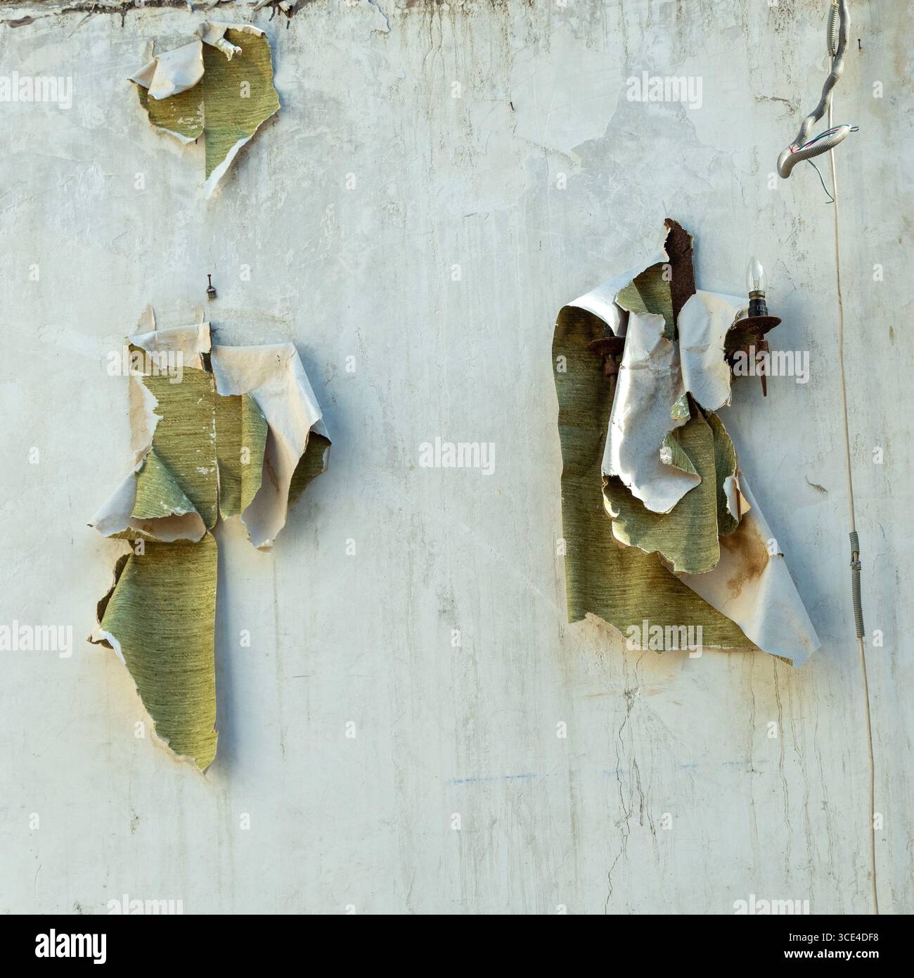 Visible remnants of old wallpaper hang in tatters, showcasing various ...
