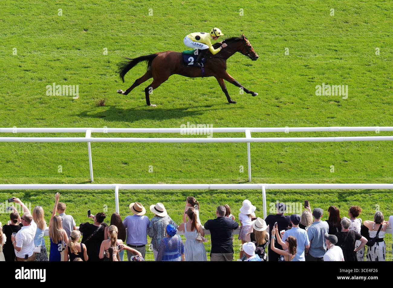 Bow echo horse hi-res stock photography and images - Alamy