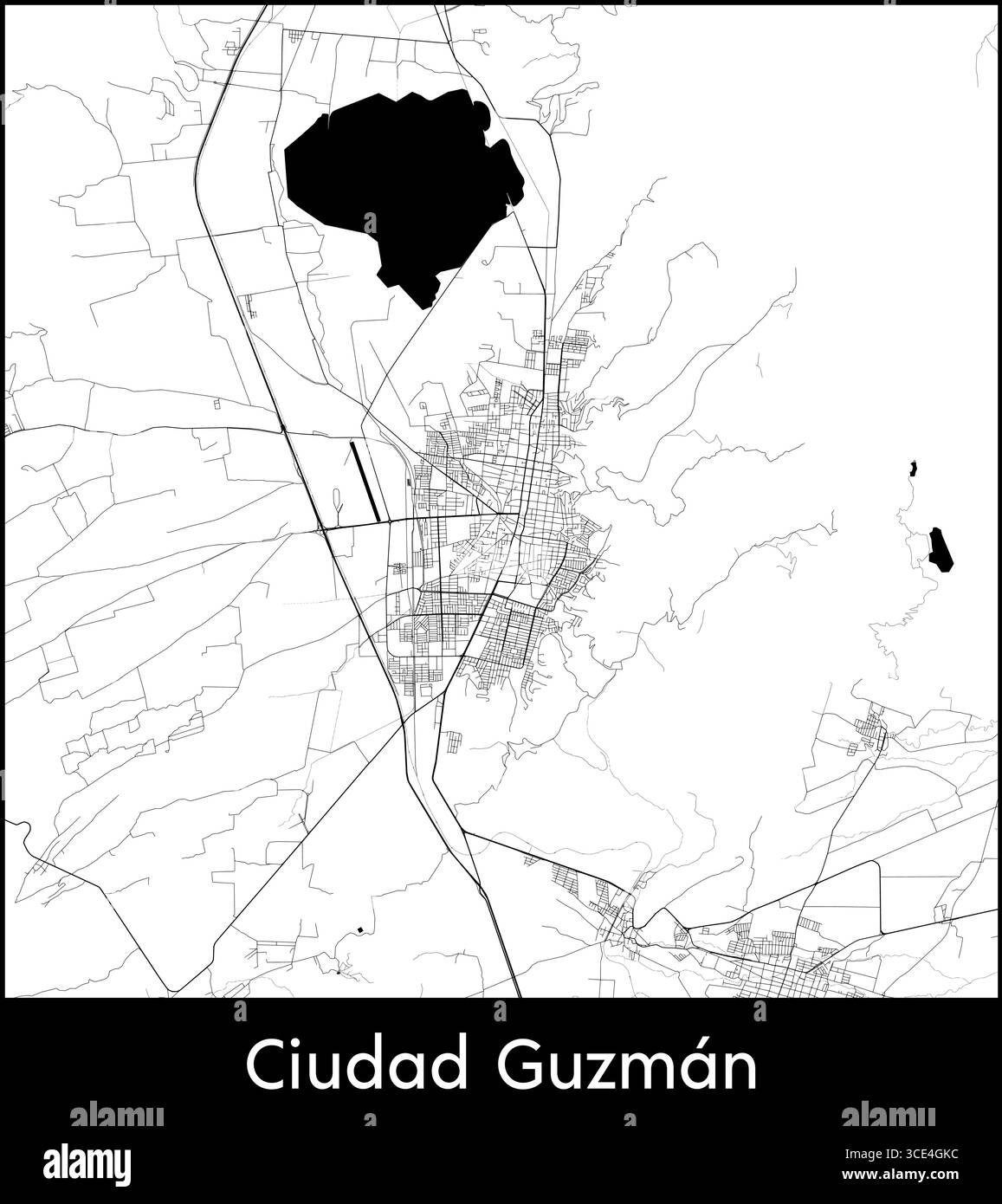 Ciudad Guzman city map, Mexico - Topographic vector map poster Stock ...