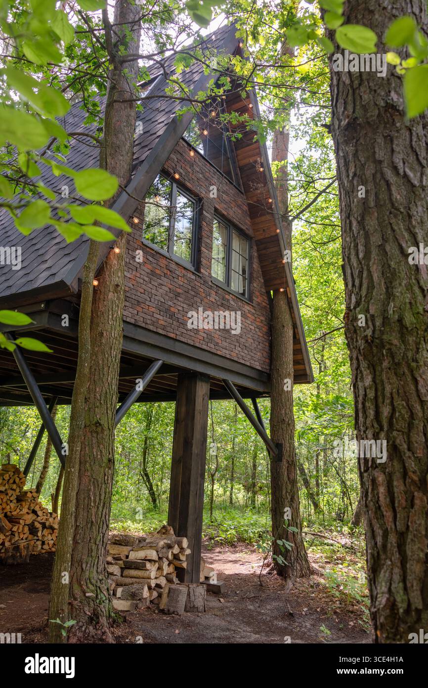 Unique A-frame treehouse situated among pine trees with elevated deck ...