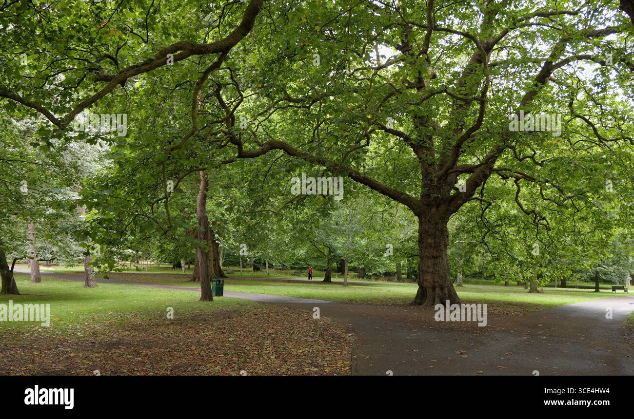 Cardiff uk august 2025 pathway hi-res stock photography and images - Alamy