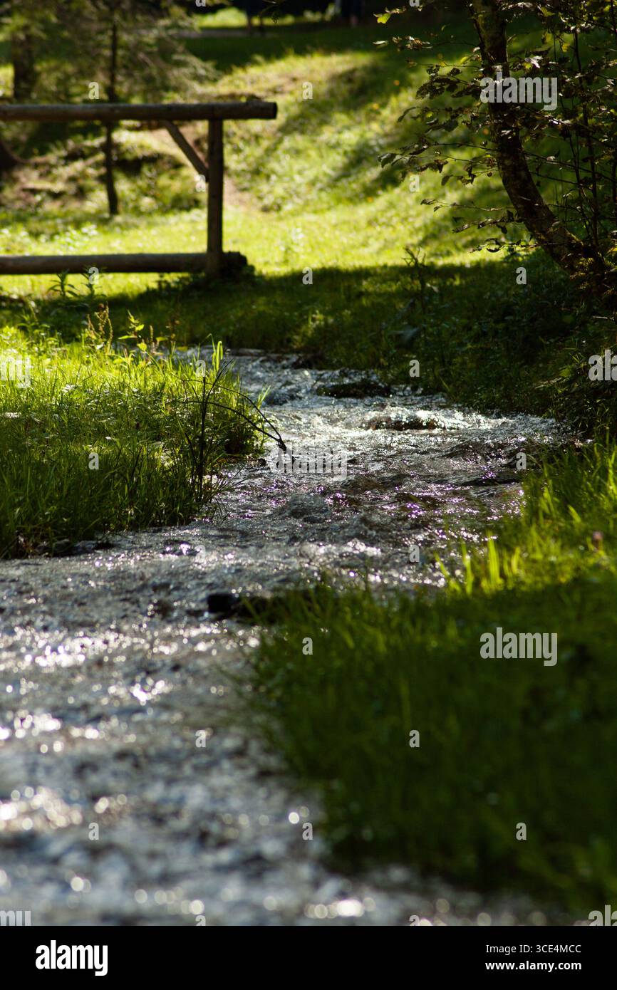 Clear mountain stream flowing through lush green grass with sunlight ...