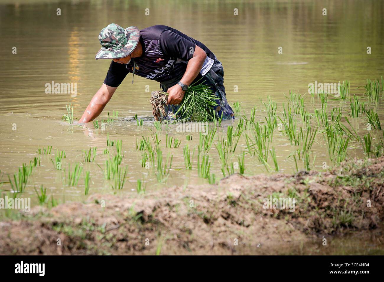 Farmers hand o hi-res stock photography and images - Alamy