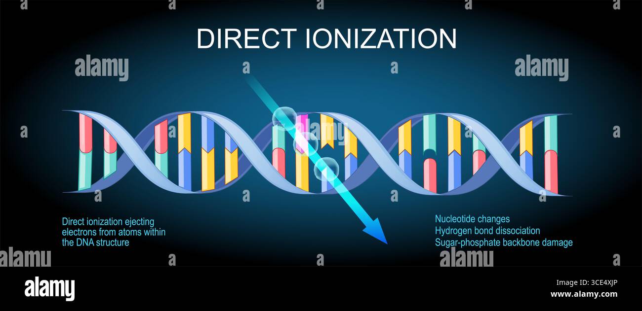Hydrogen bond hi-res stock photography and images - Alamy