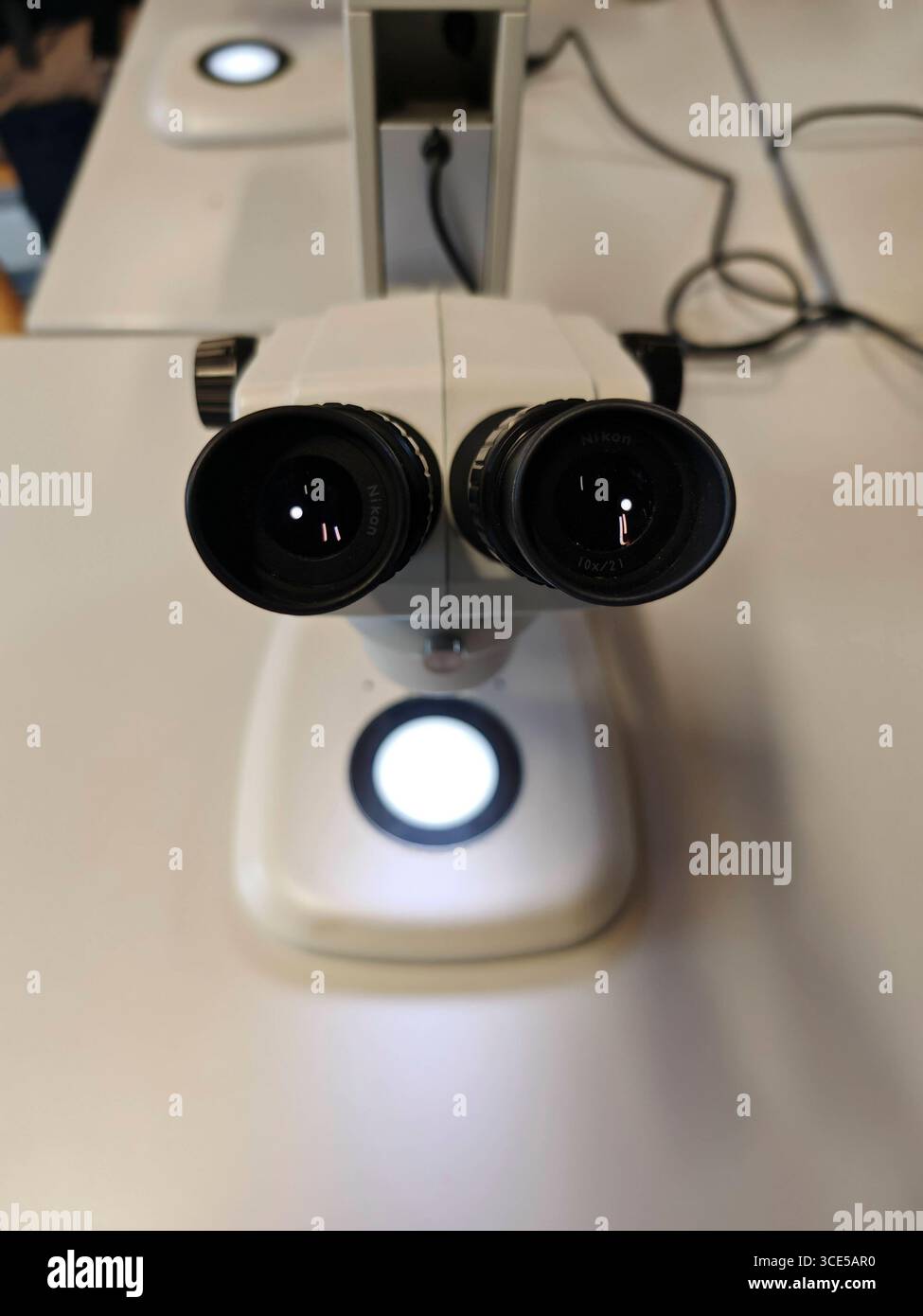 Research through a microscope as a way of scientific research working ...