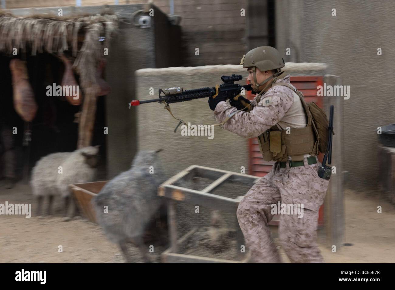 Camp Lejuene, North Carolina, USA. 7th Aug, 2025. U.S. Marine Corps ...
