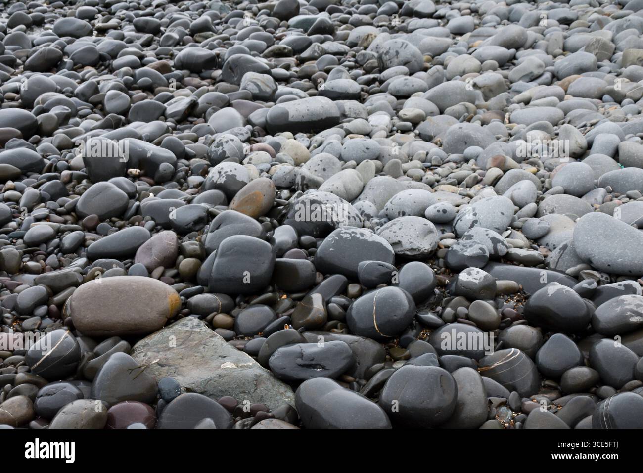 Westward Ho Beach, North Devon, Holsworthy Stock Photo - Alamy