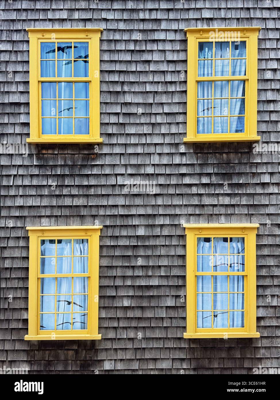 Reflections birds in windows hi-res stock photography and images - Alamy