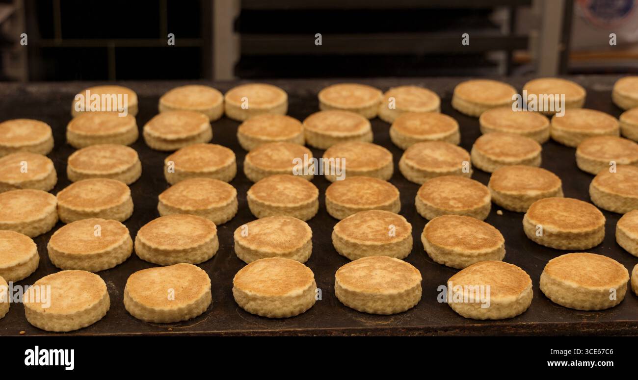 Rows of welsh cakes baking on a griddle in a bakery in Cardiff, Wales ...
