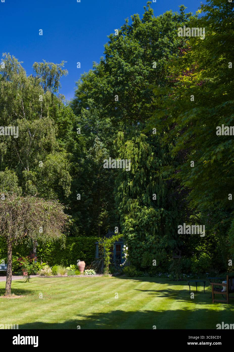 Beautiful British backyard garden, Gerrards Cross, South ...