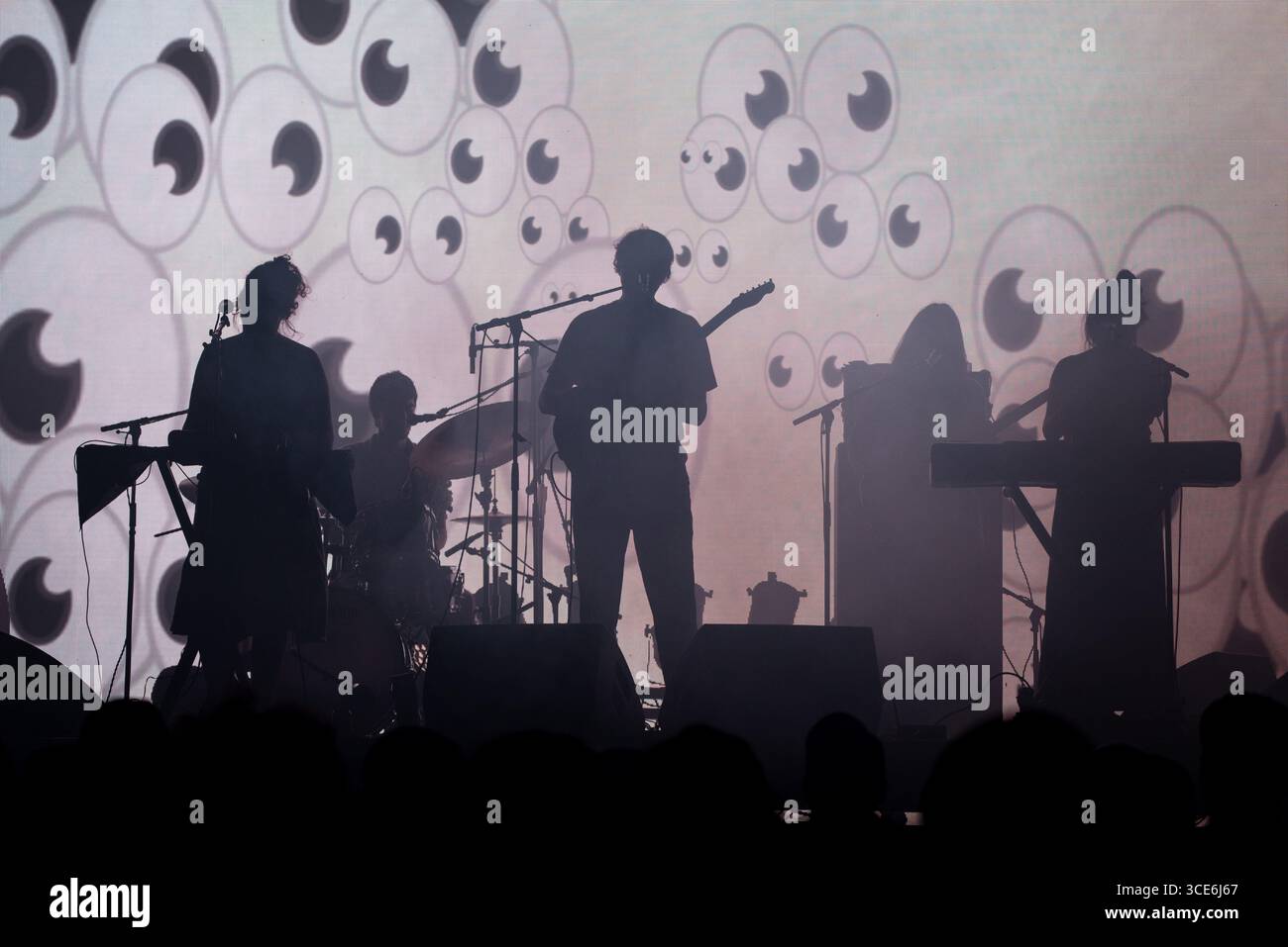 PANDA BEAR, FULL BAND, CONCERT, 2025: The band Panda Bear play on the ...