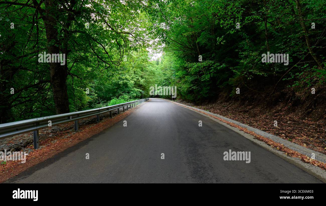 Winding pathway leads through hi-res stock photography and images - Alamy