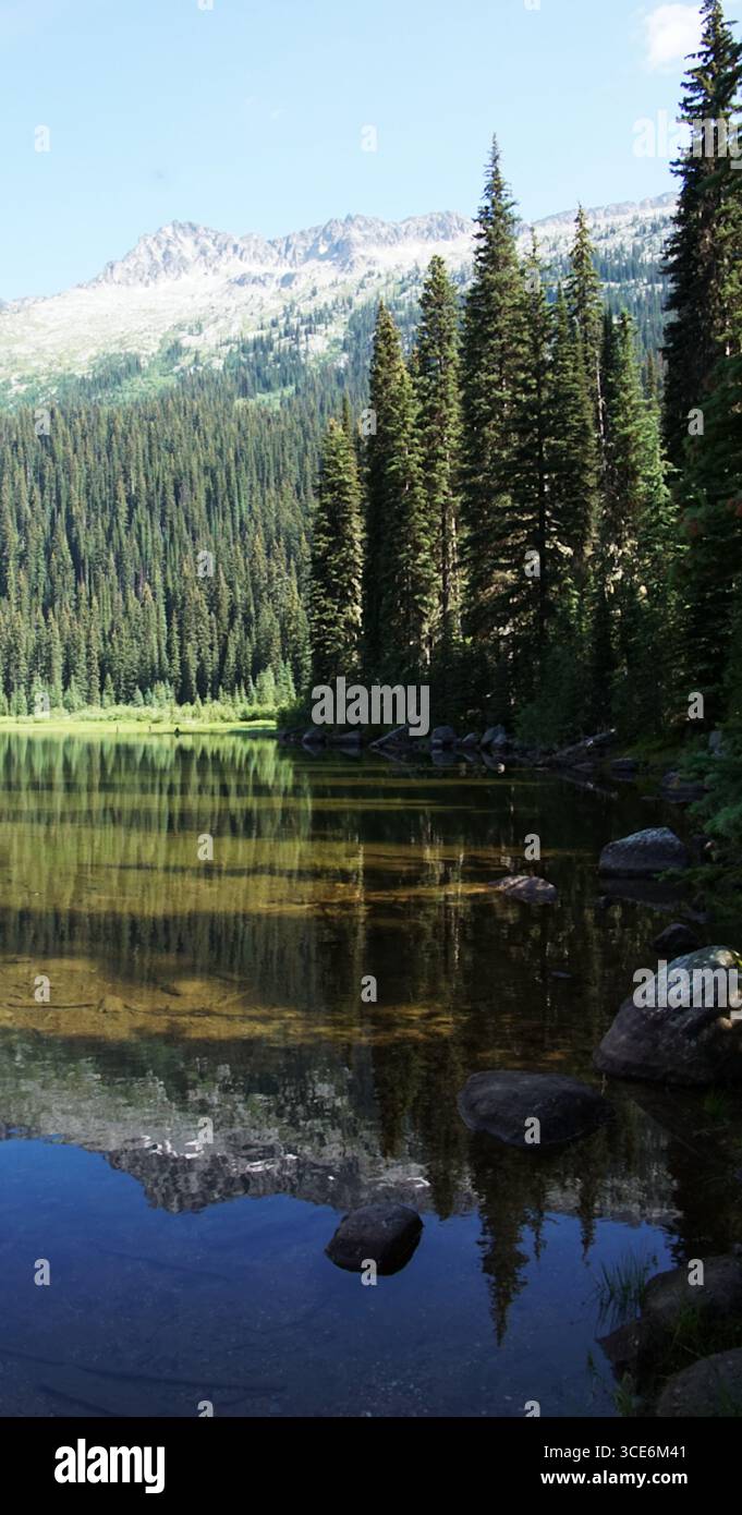 Summer2025 hi-res stock photography and images - Alamy