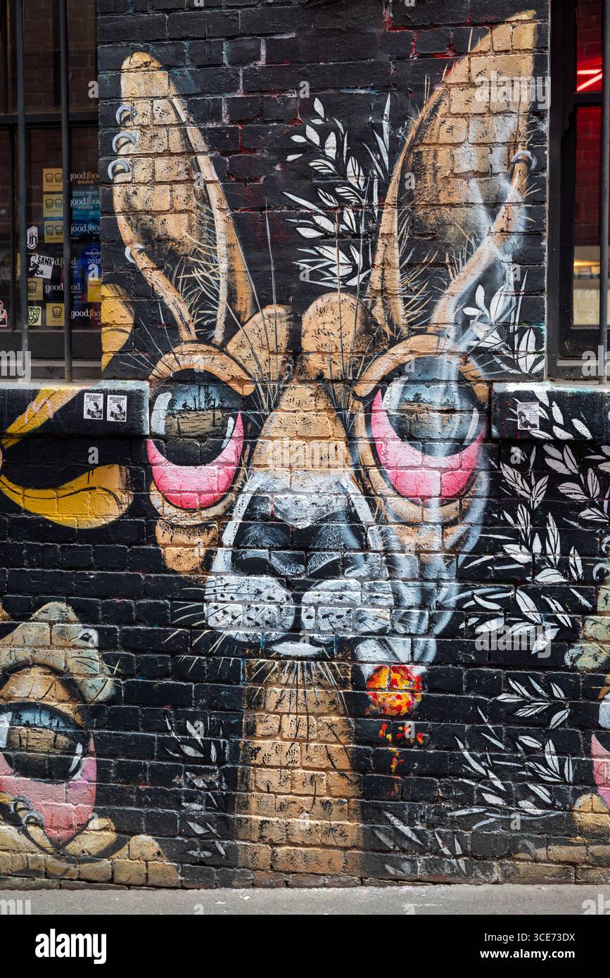 Smoking Kangaroo Street Art in Melbourne, Australia Stock Photo - Alamy