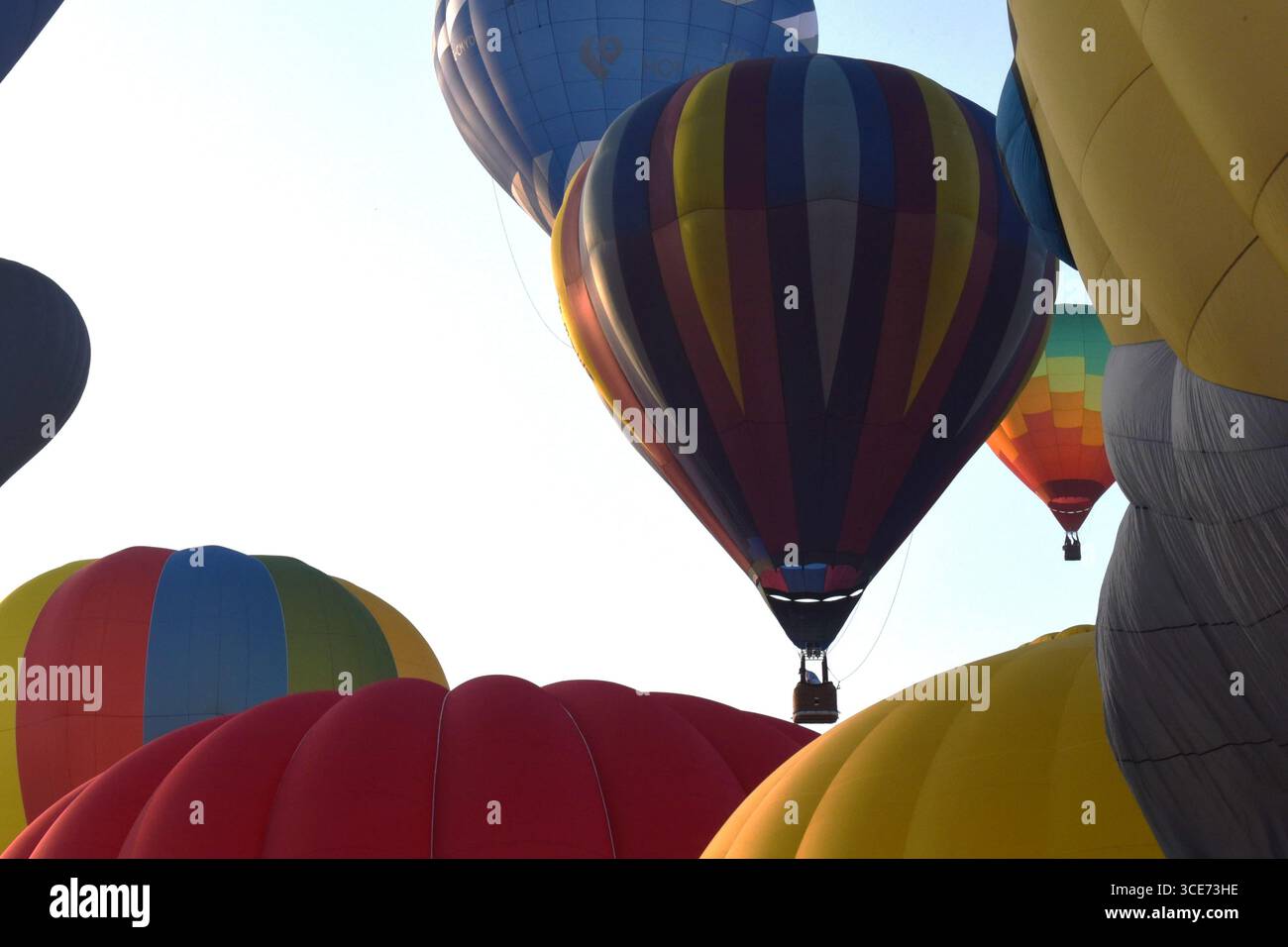 Bristol International Hot Air Balloon Fiesta 2025, Hot air balloons ...