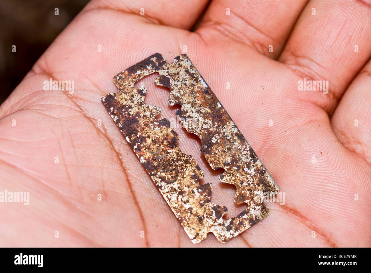 A rusted blade lying in the soil Stock Photo - Alamy