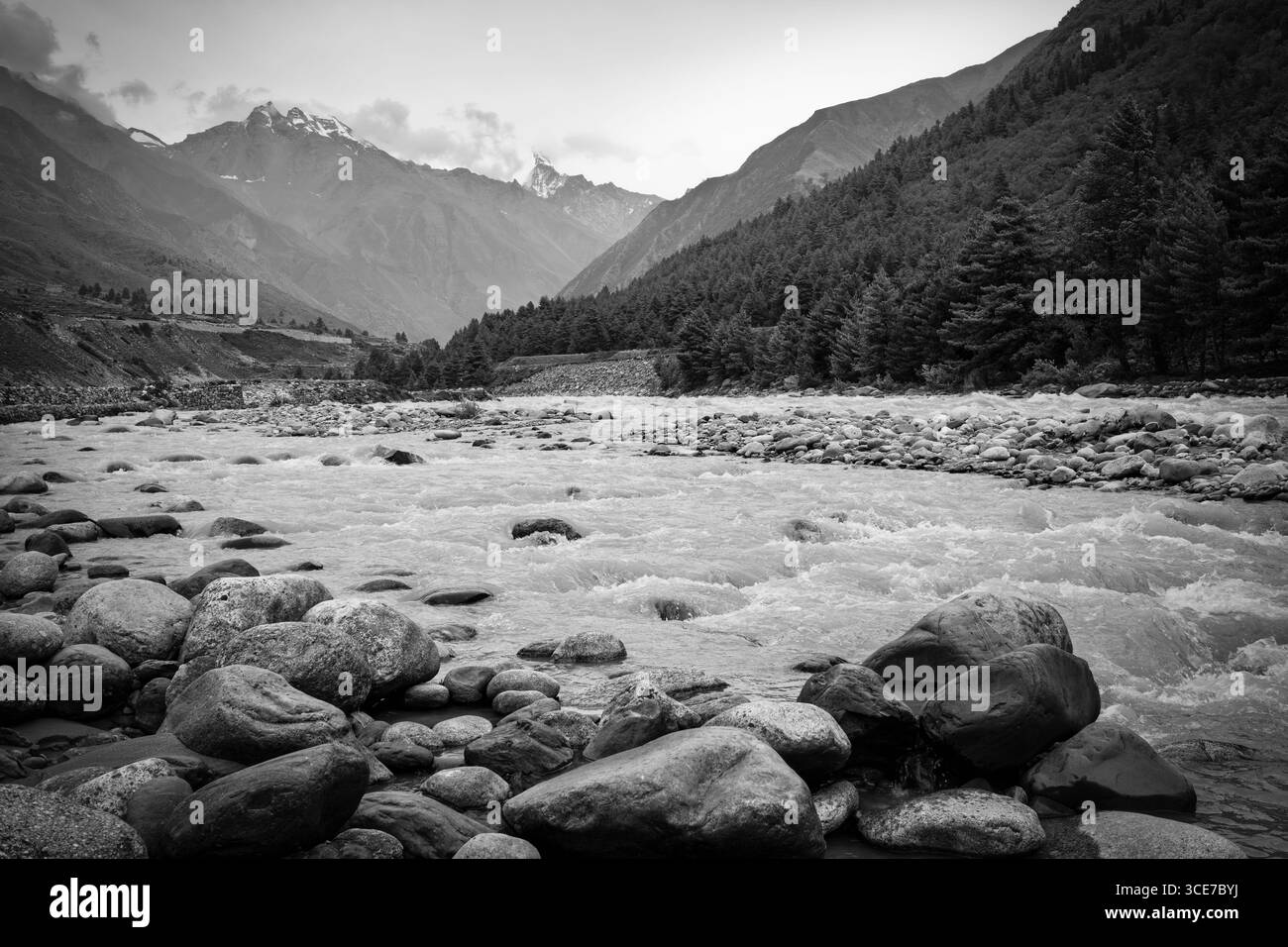 Beautiful forested landscape view Black and White Stock Photos & Images ...