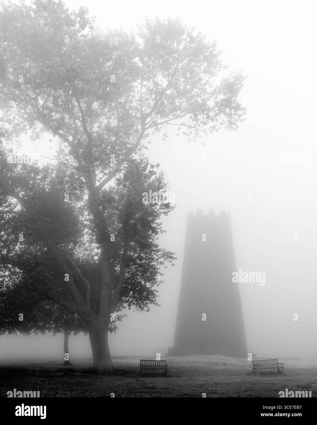 Mystical view of old, disused windmill flanked by tall tree and thick ...
