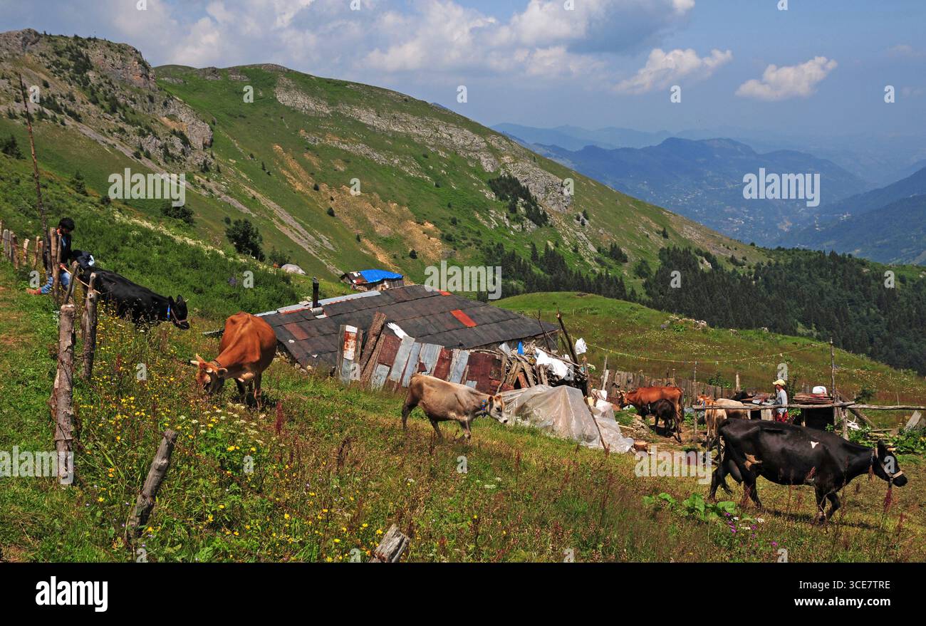 A view from the highland villages in the Macka district of Trabzon ...