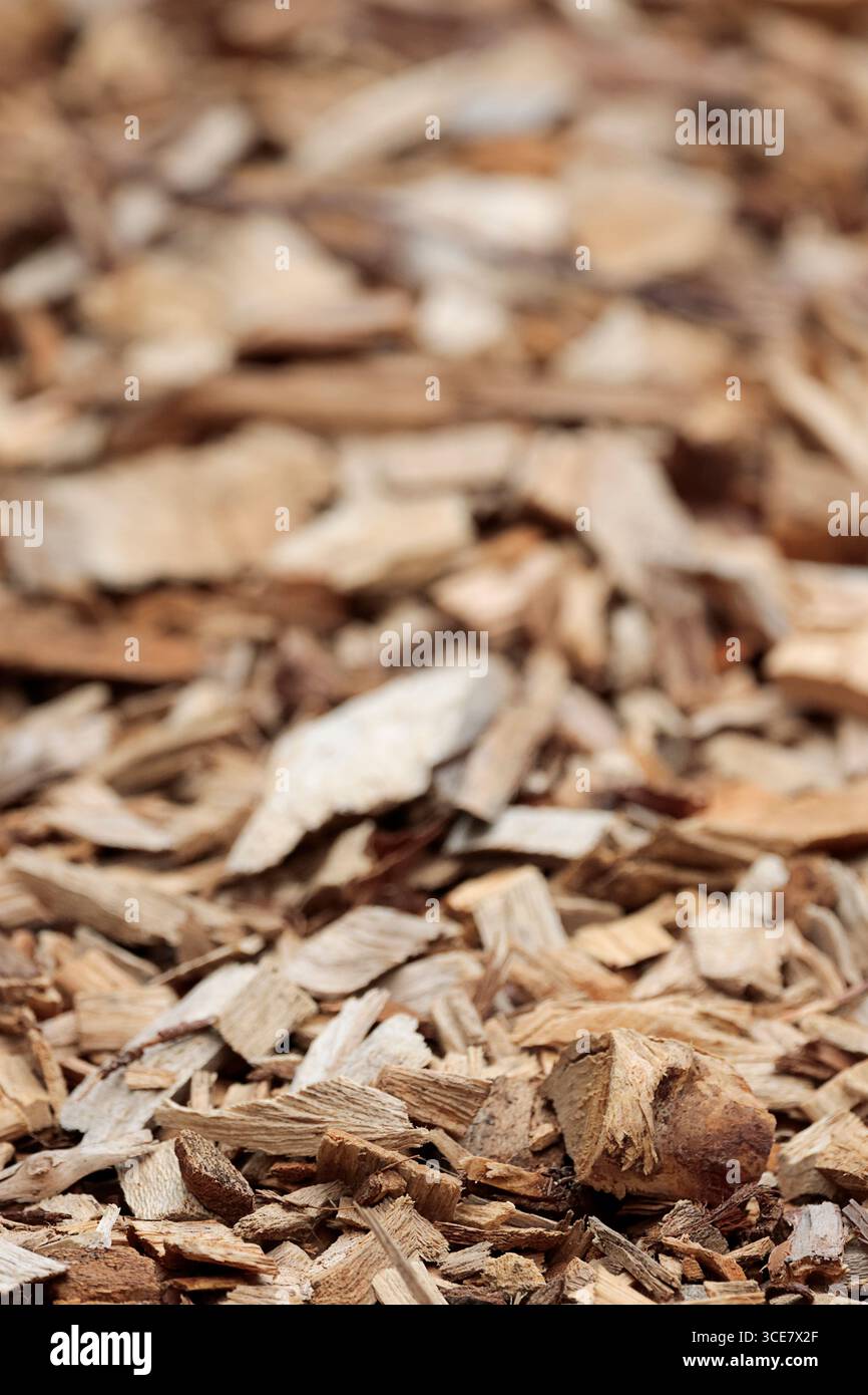 One of eight wood chip images hi-res stock photography and images - Alamy