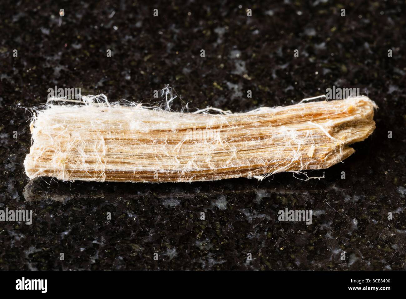 sample of rough chrysotile asbestos rock on black granite background ...