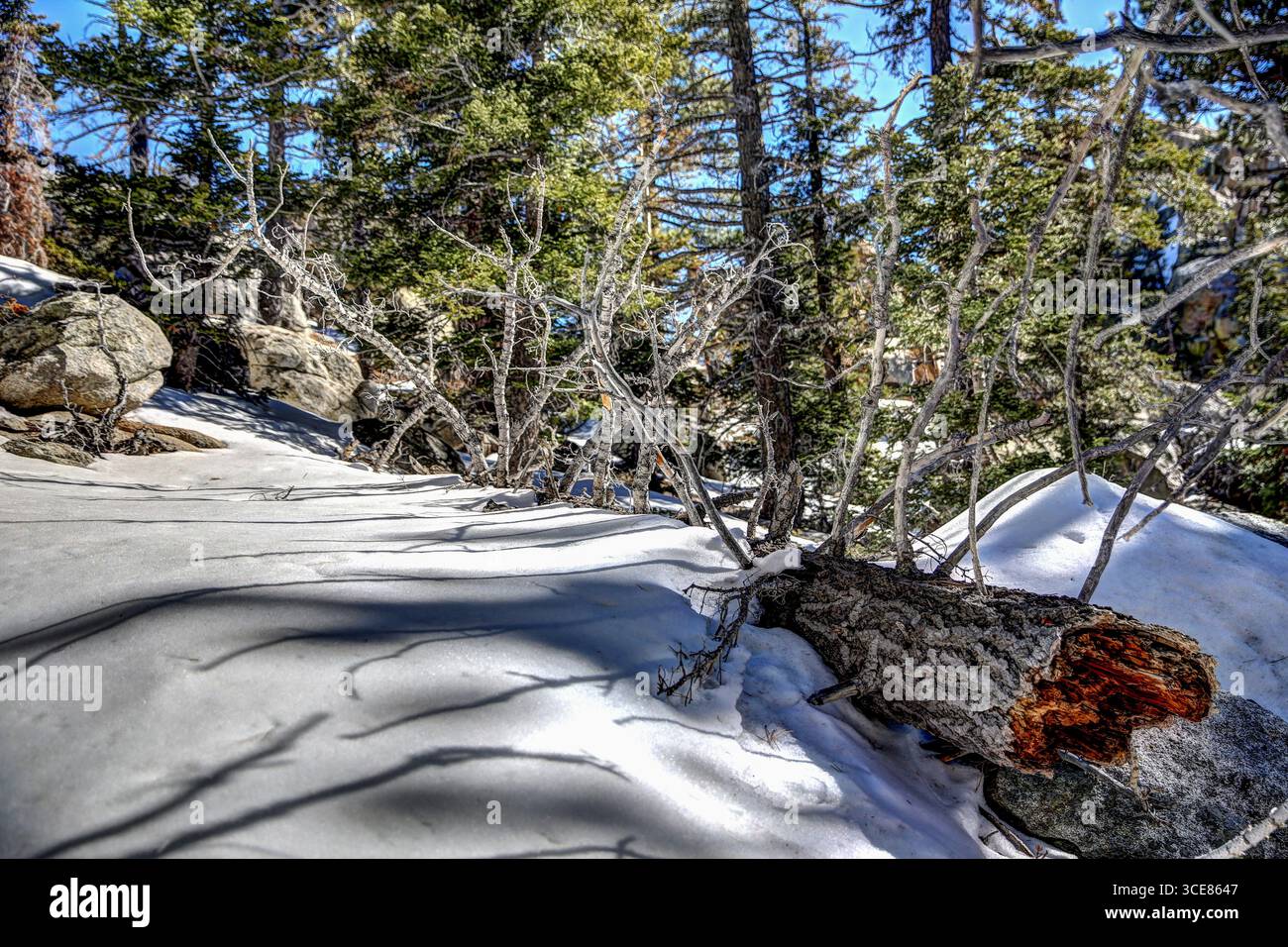 Aerial views of Coachella Valley from the top of the gondola in Palm ...