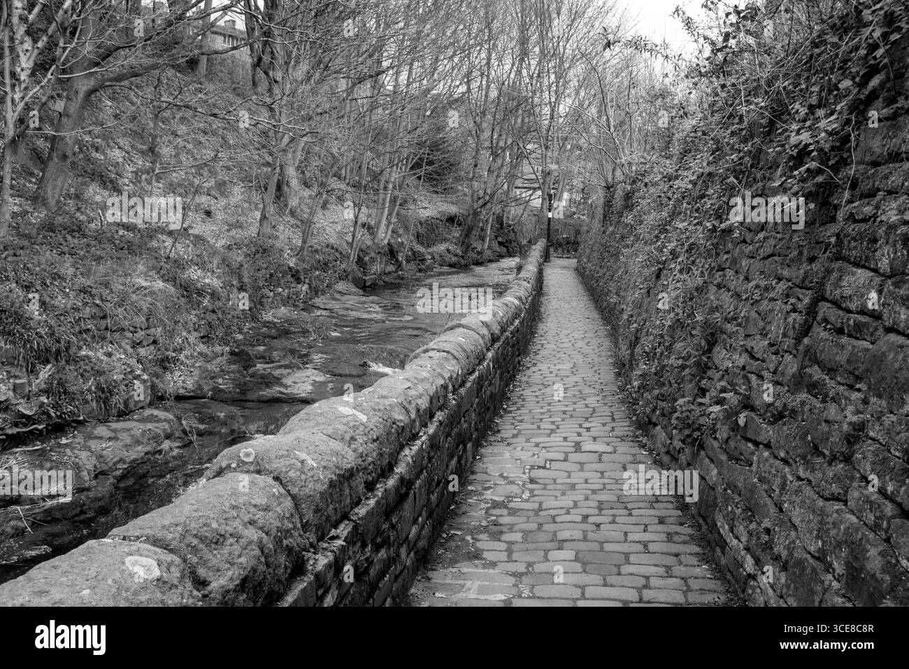 River winds through countryside Black and White Stock Photos & Images ...